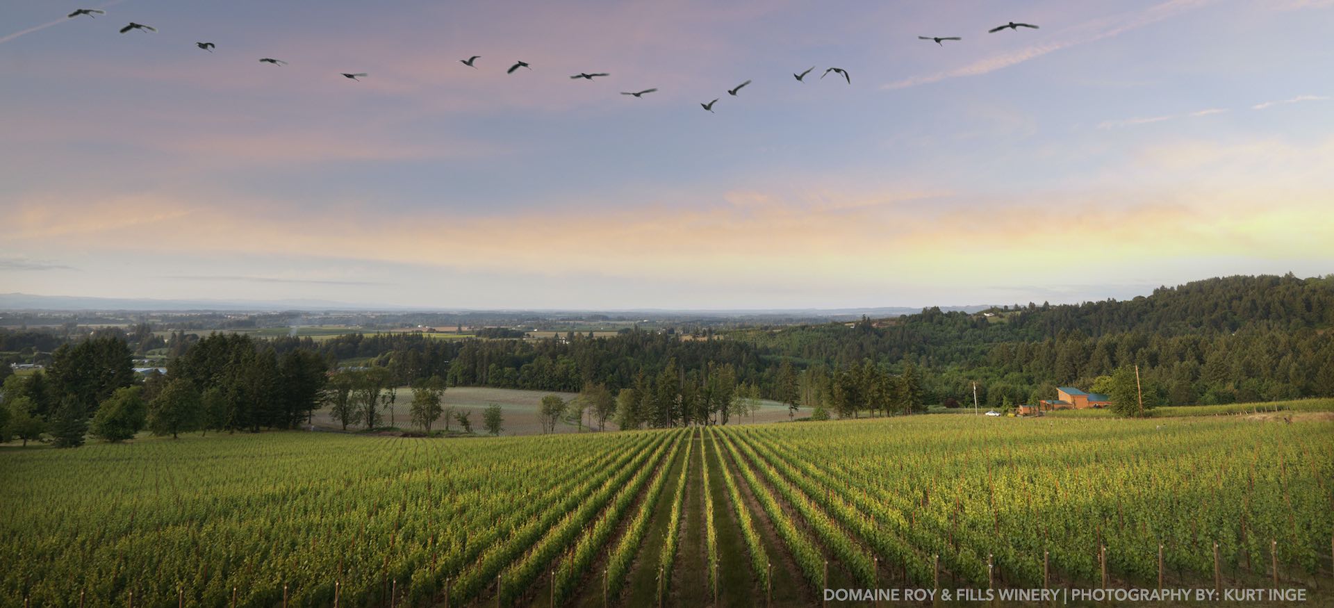Thank You - A Great Oregon Wine Tour
